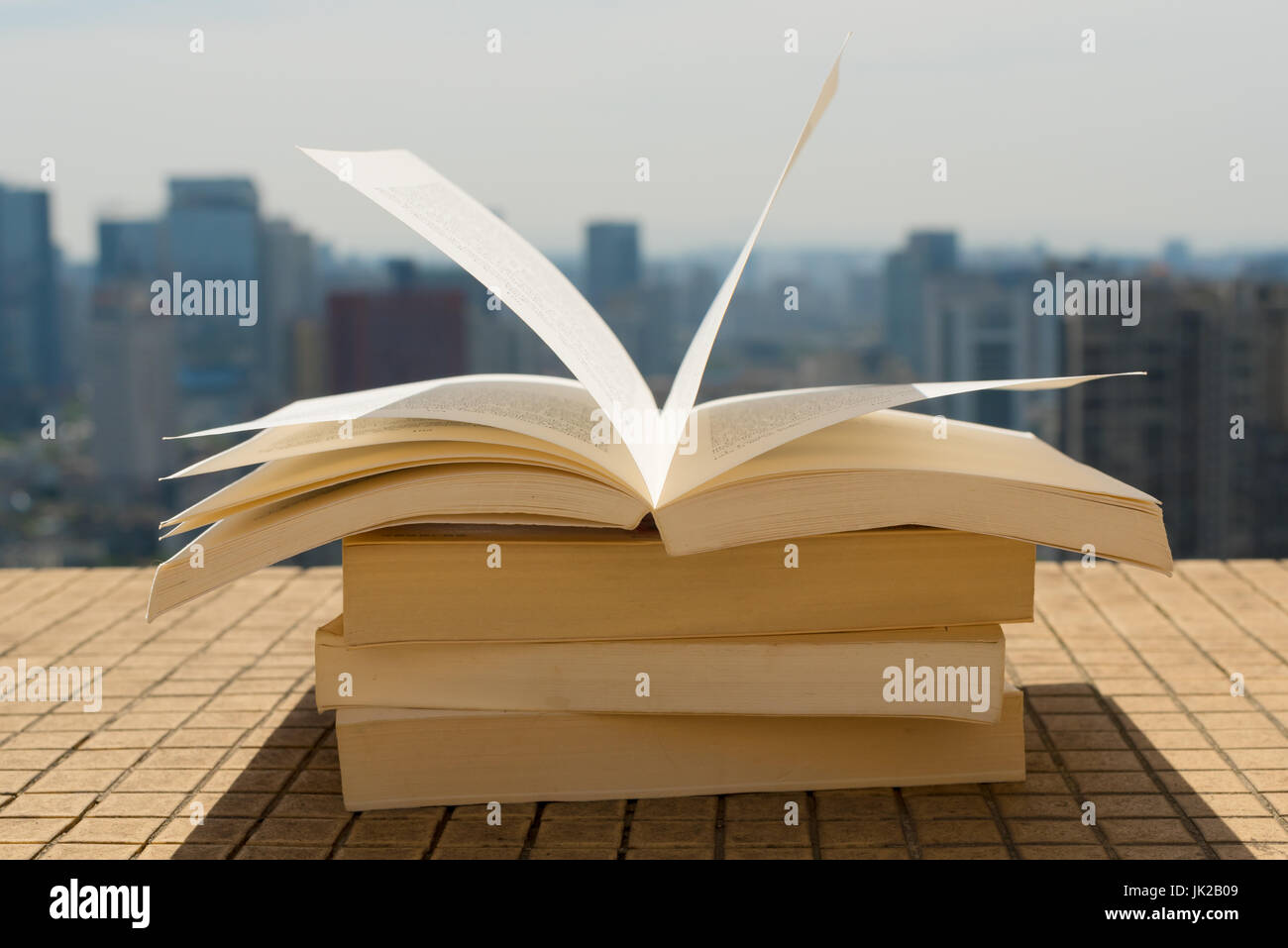 Books stack on a roof with the city in the background Stock Photo - Alamy