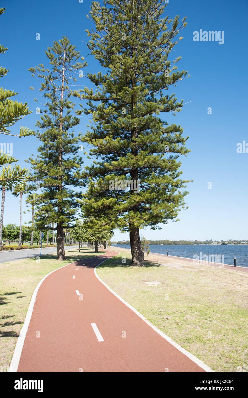 Trees swan river foreshore hi-res stock photography and images - Alamy