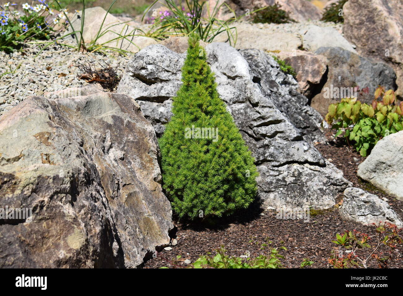 Miniature Rock Garden High Resolution Stock Photography and Images - Alamy