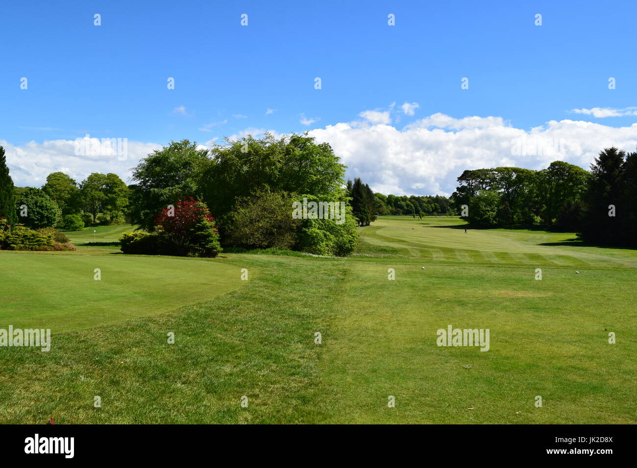 Landscape view of a golf course Stock Photo - Alamy