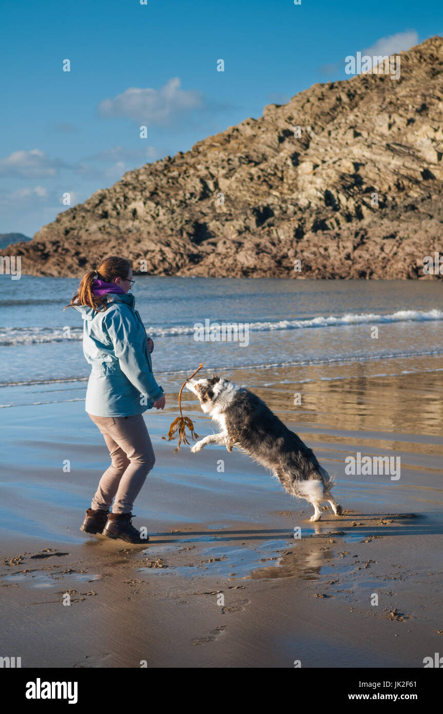 Woman playing on the beach shore with her blue merle border collie dog ...