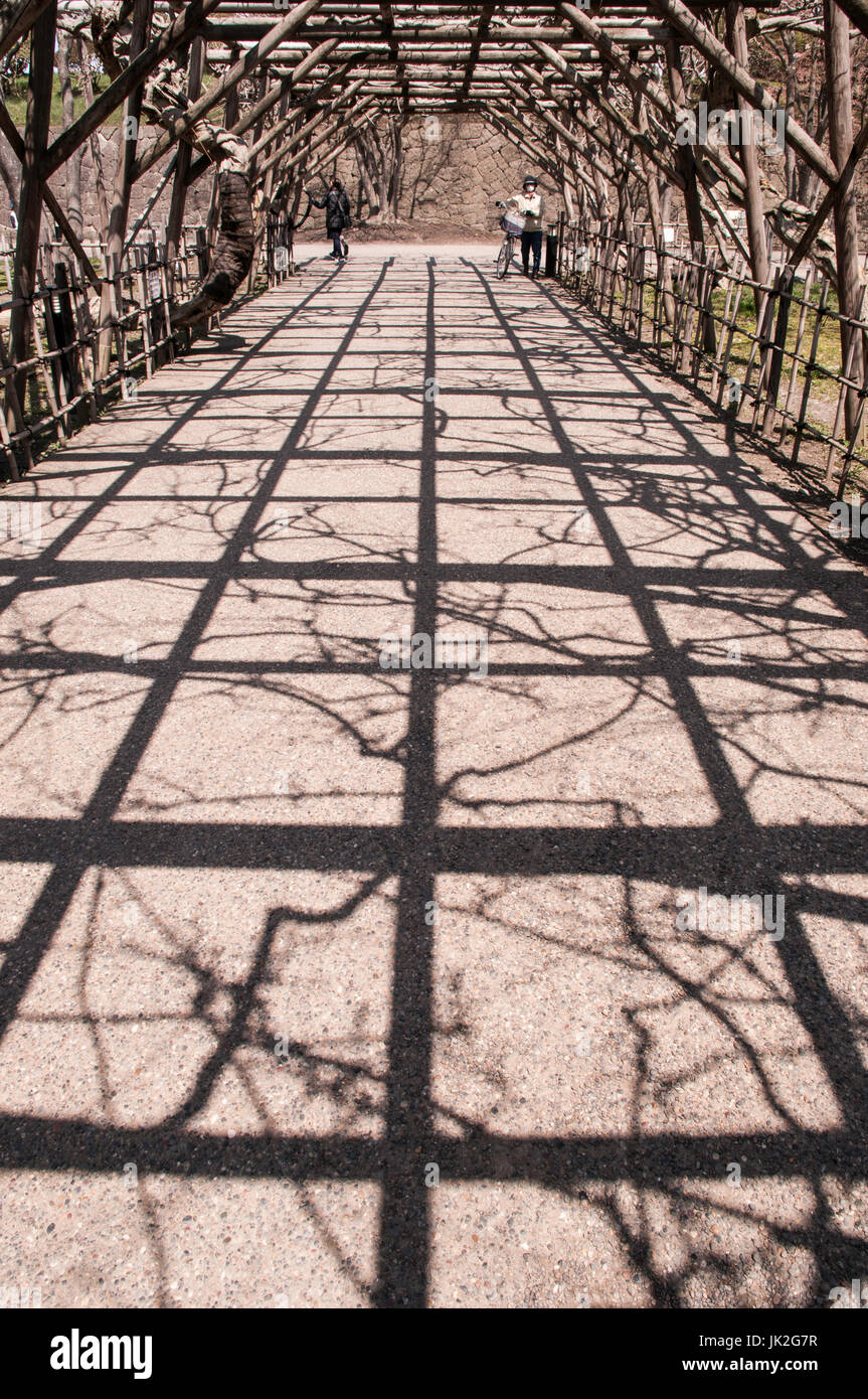 Cracked Shadow by scaffold Stock Photo - Alamy