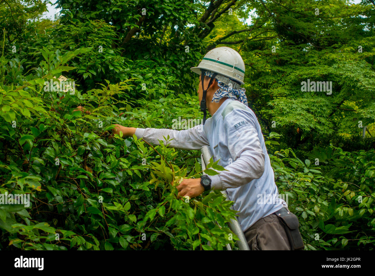 Hard working japanese hi-res stock photography and images - Alamy
