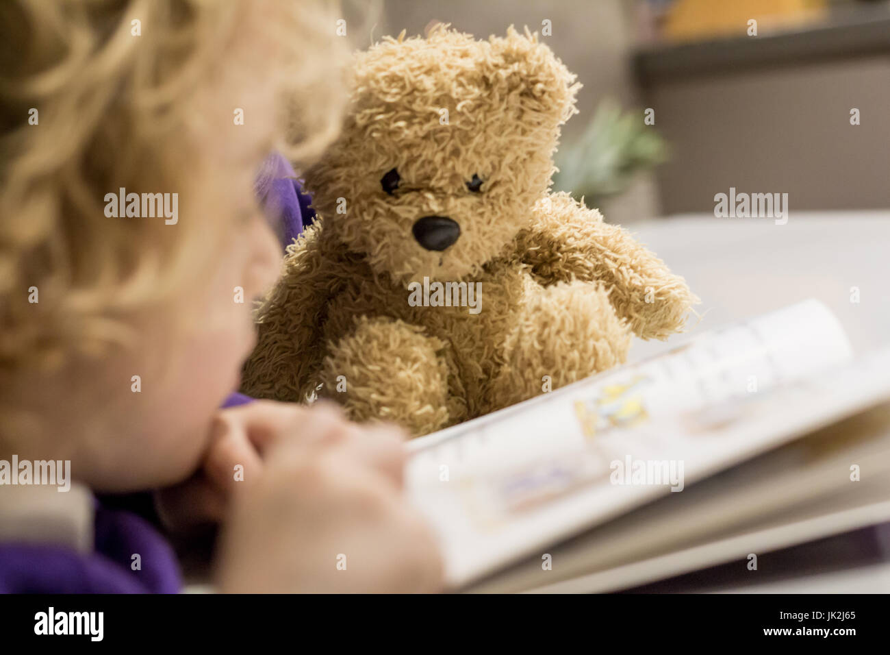 A young Caucasian boy reading a book with his favourite childhood teddy ...