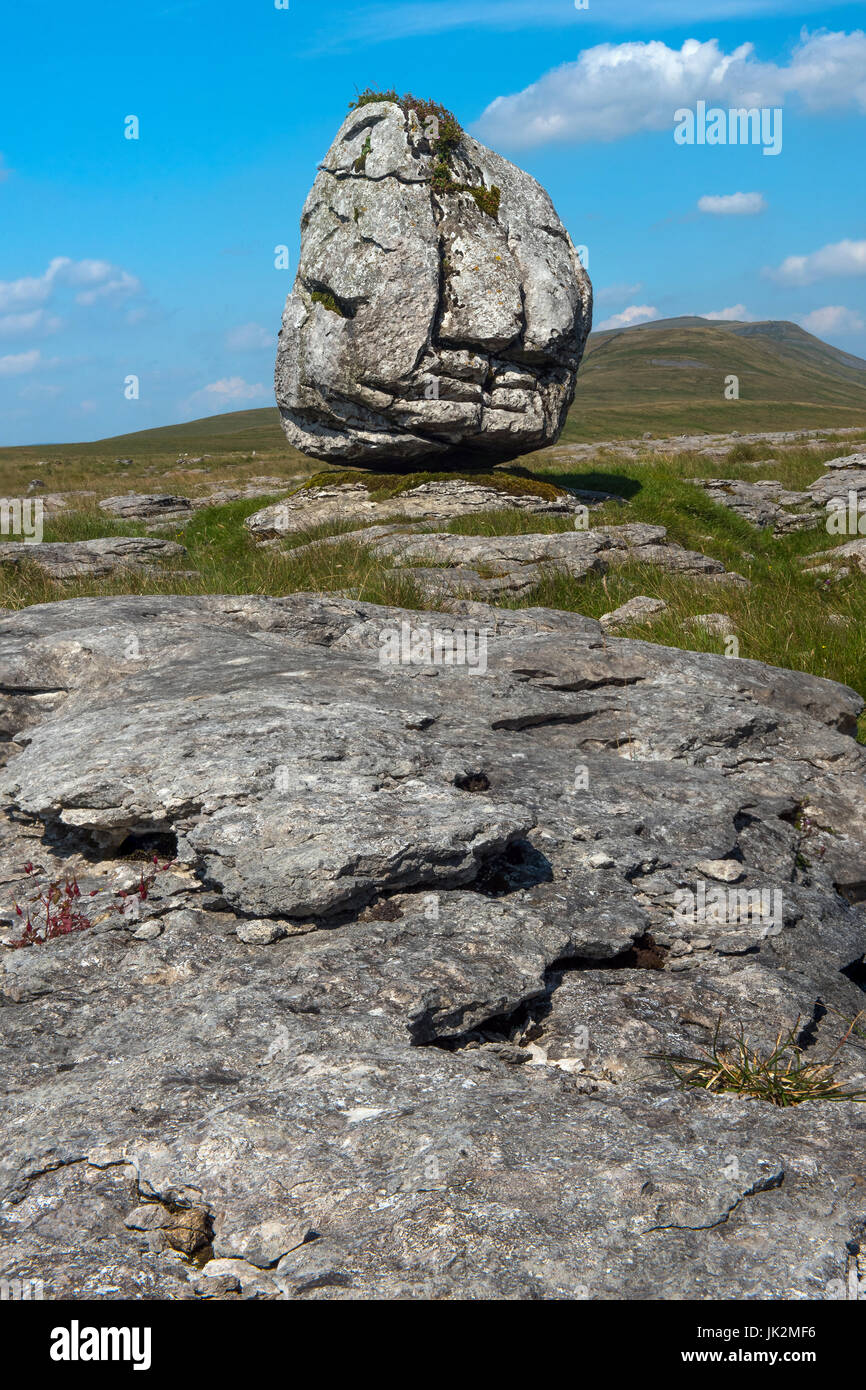 A glacial erratic in the Yorkshire dales with Whernside in the ...