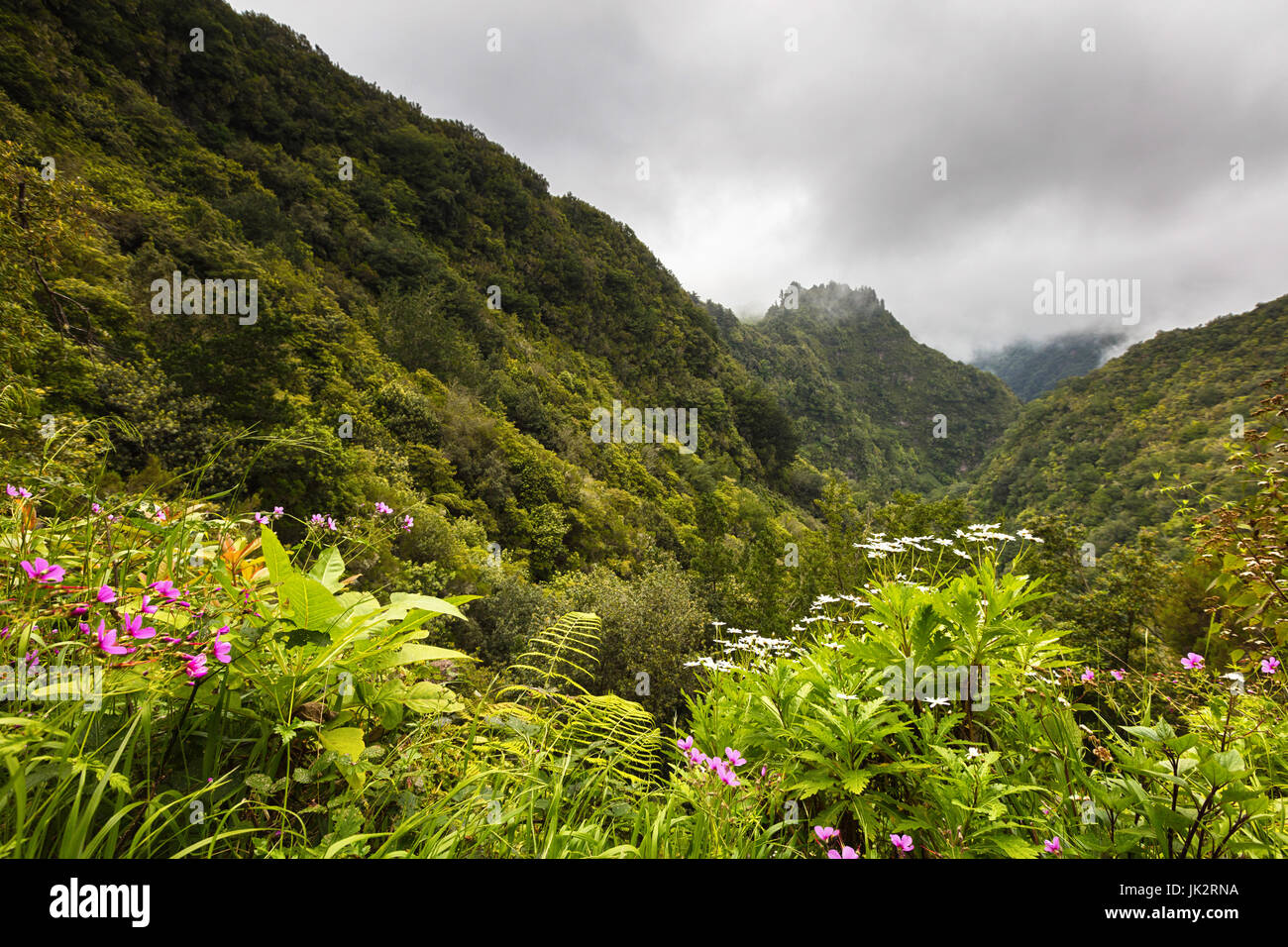 Madeira walking route hi-res stock photography and images - Alamy