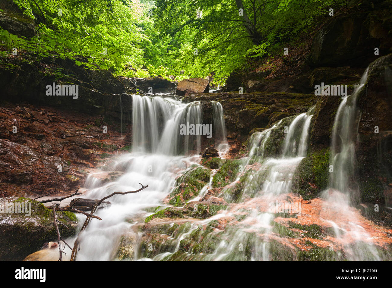 River rappid in a spring forest Stock Photo - Alamy