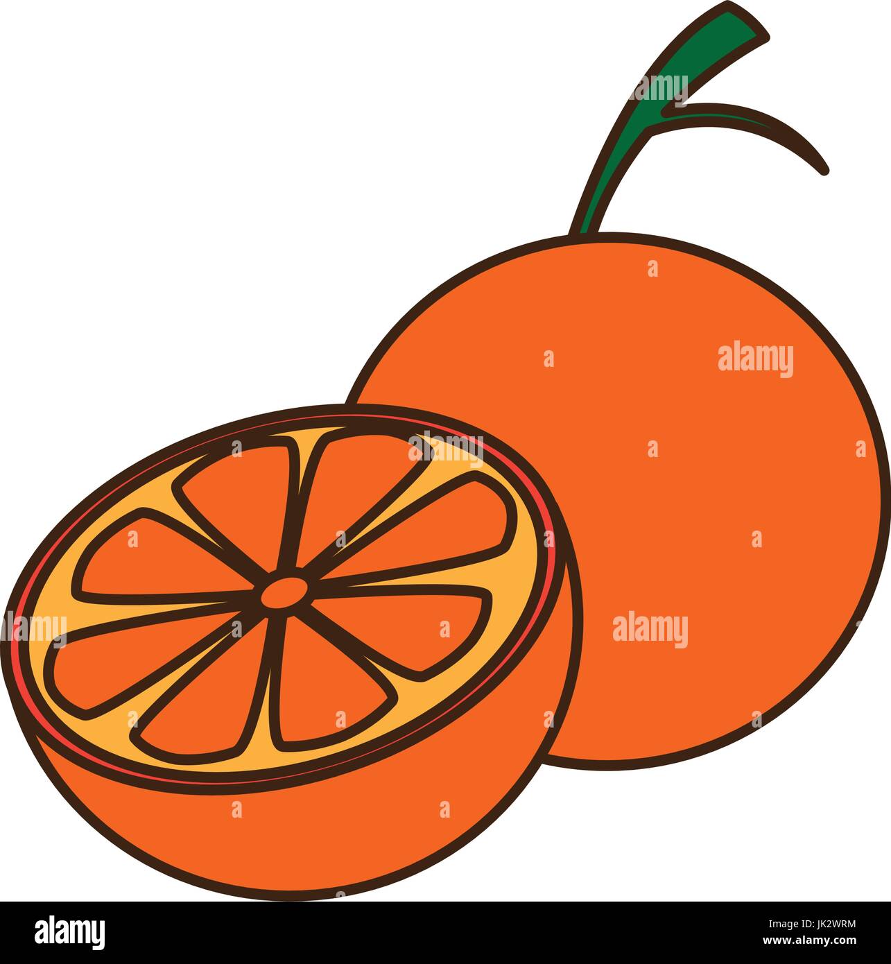 citrus orange fruit vitamins nutrition health food Stock Vector Image ...