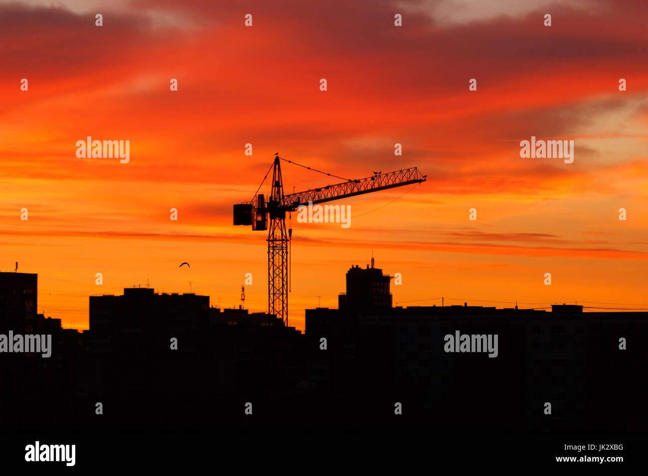 Vivid sunrise over the city buildings in morning Stock Photo - Alamy