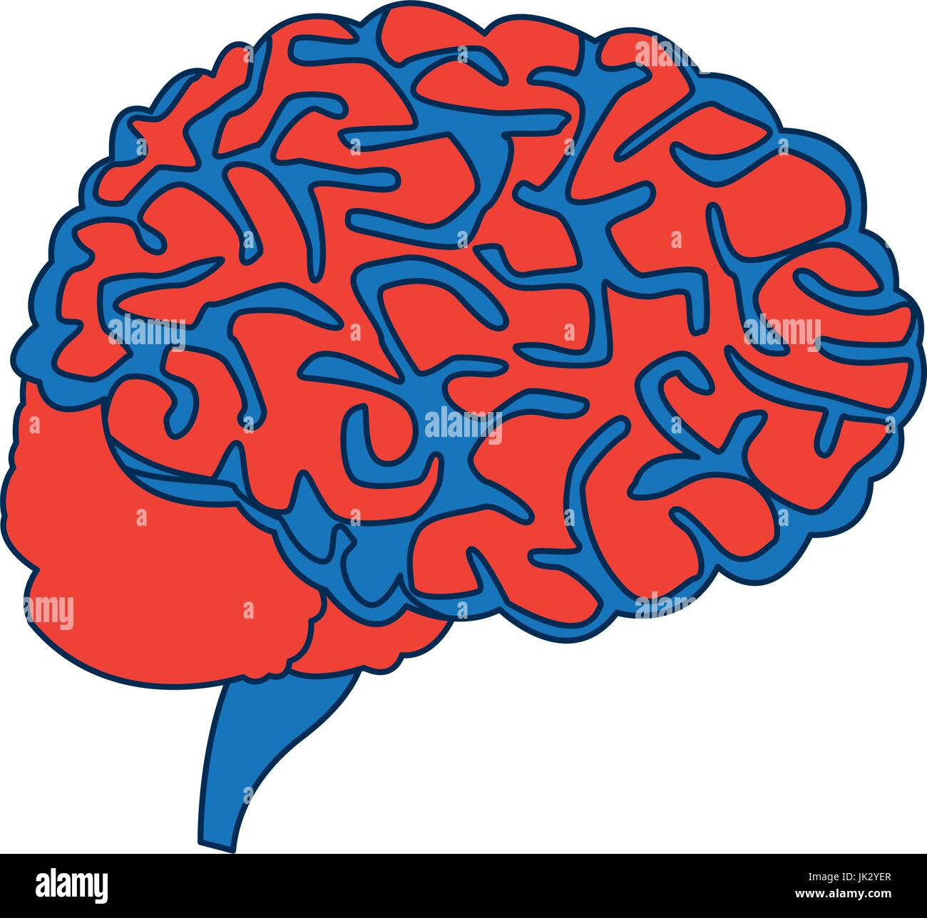 human brain for medical healthy memory anatomy design Stock Vector ...