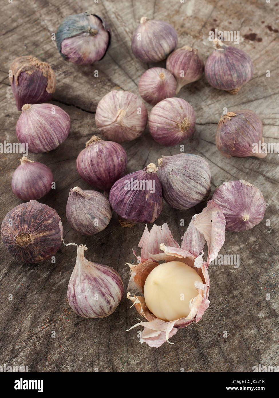 still life fine art of Single Bulb form of Elephant Garlic on wooden ...
