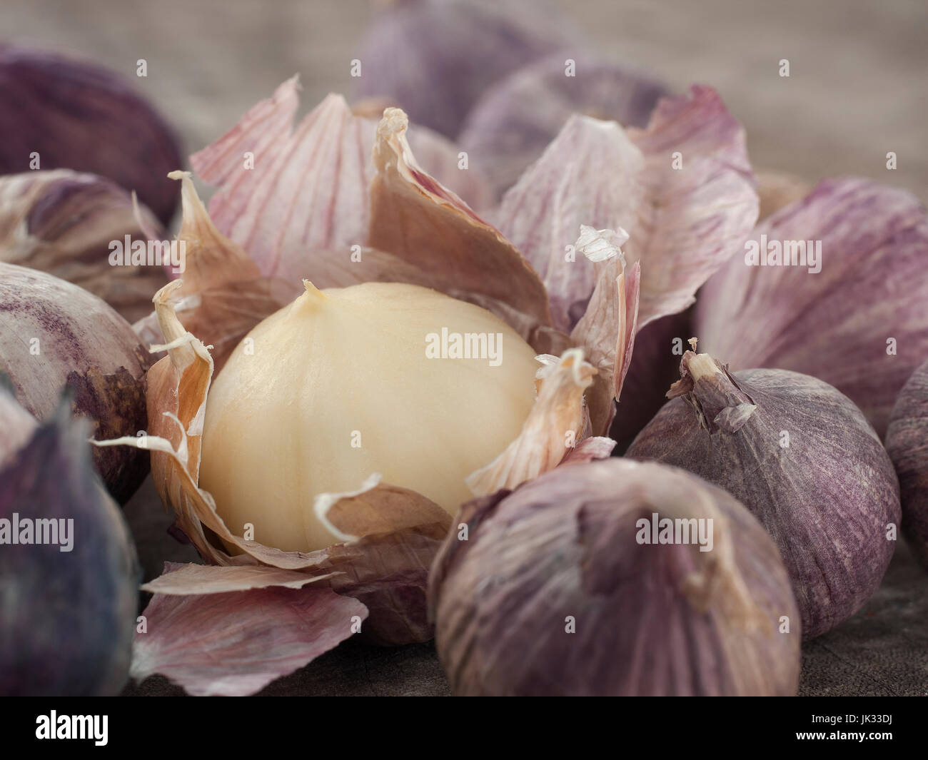 Elephant Garlic High Resolution Stock Photography and Images - Alamy