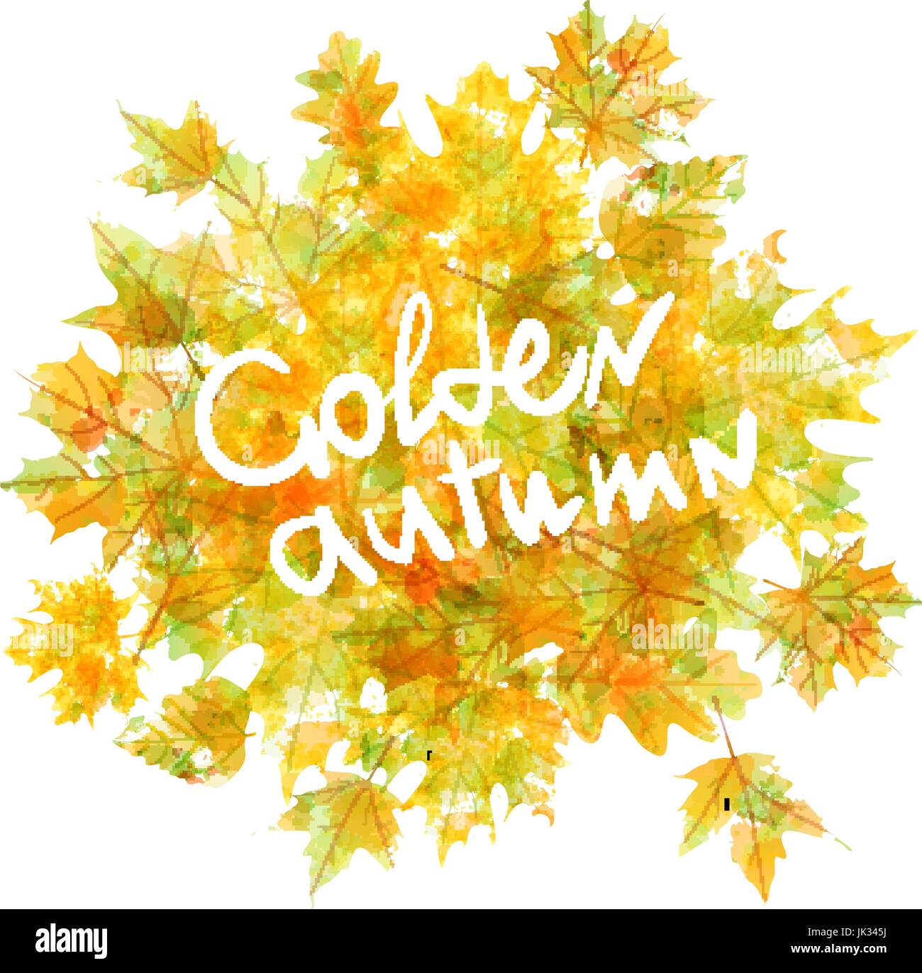 Autumn leaves background. Vector illustration. maple leaf flora Stock ...