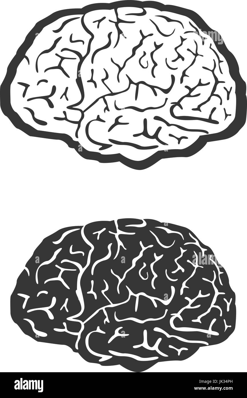 brain vector human symbol medicine illustration think, icon, mind Stock ...