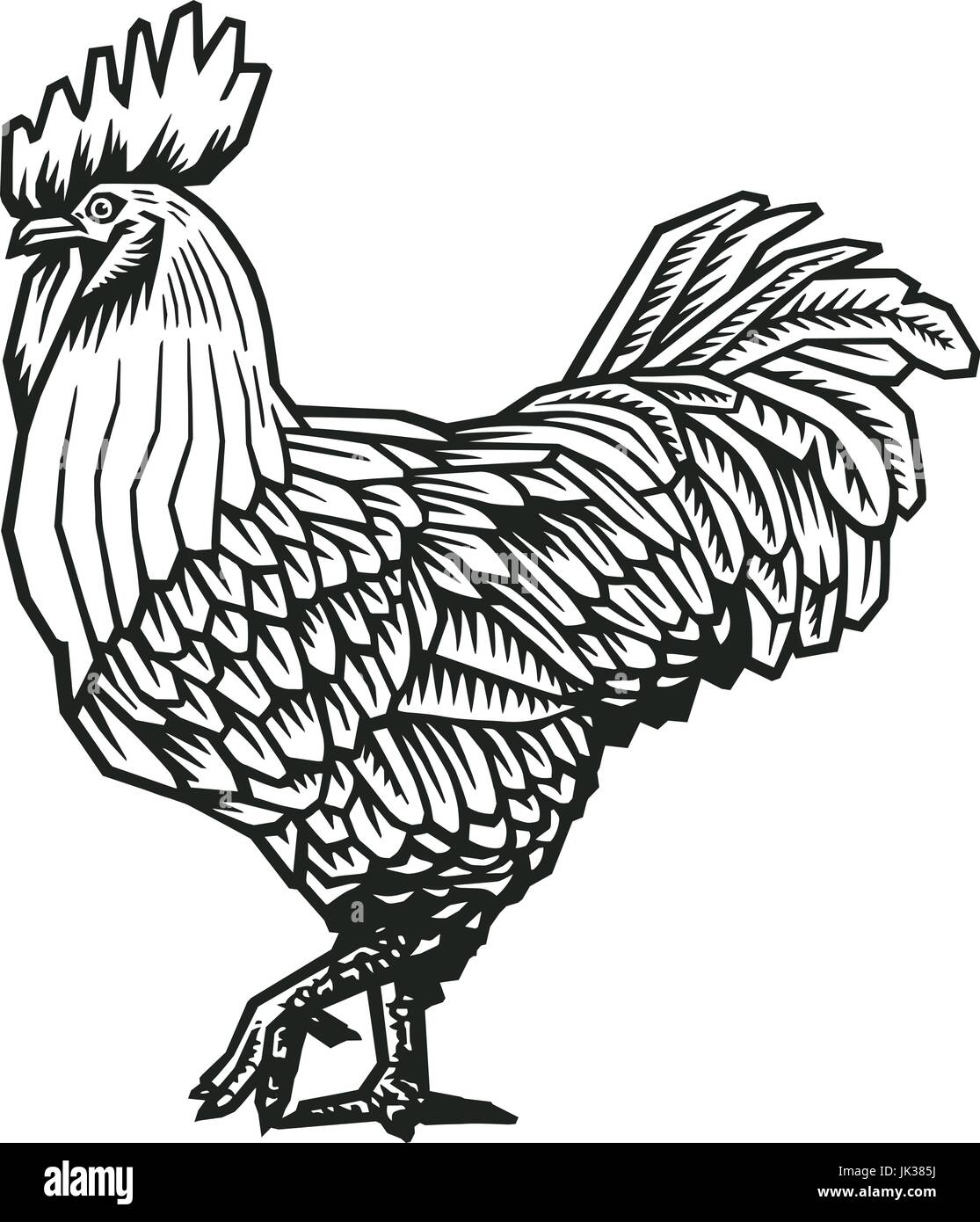 Rooster or cock hand drawn in medieval engraving style. Gorgeous farm ...