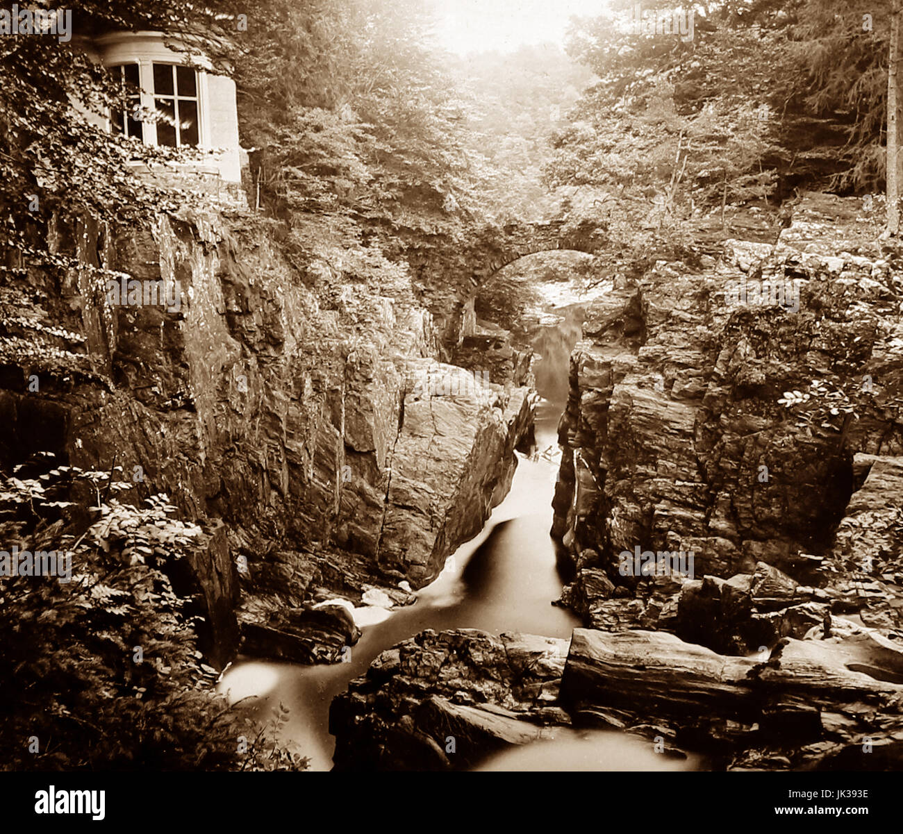 Hermitage bridge hi-res stock photography and images - Alamy