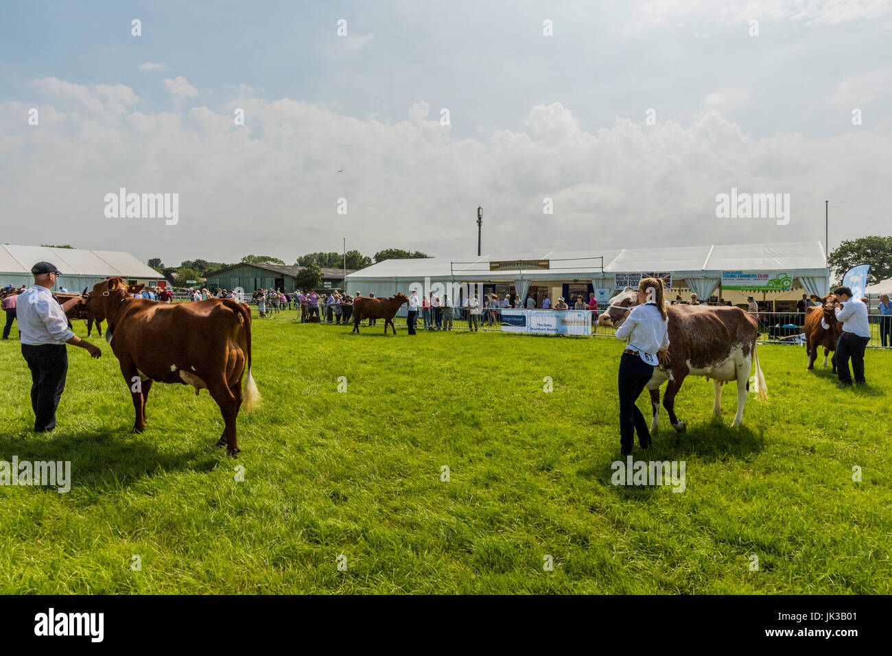 Royal Cheshire Show Cheshire showground Tabley Cheshire UK Stock Photo ...