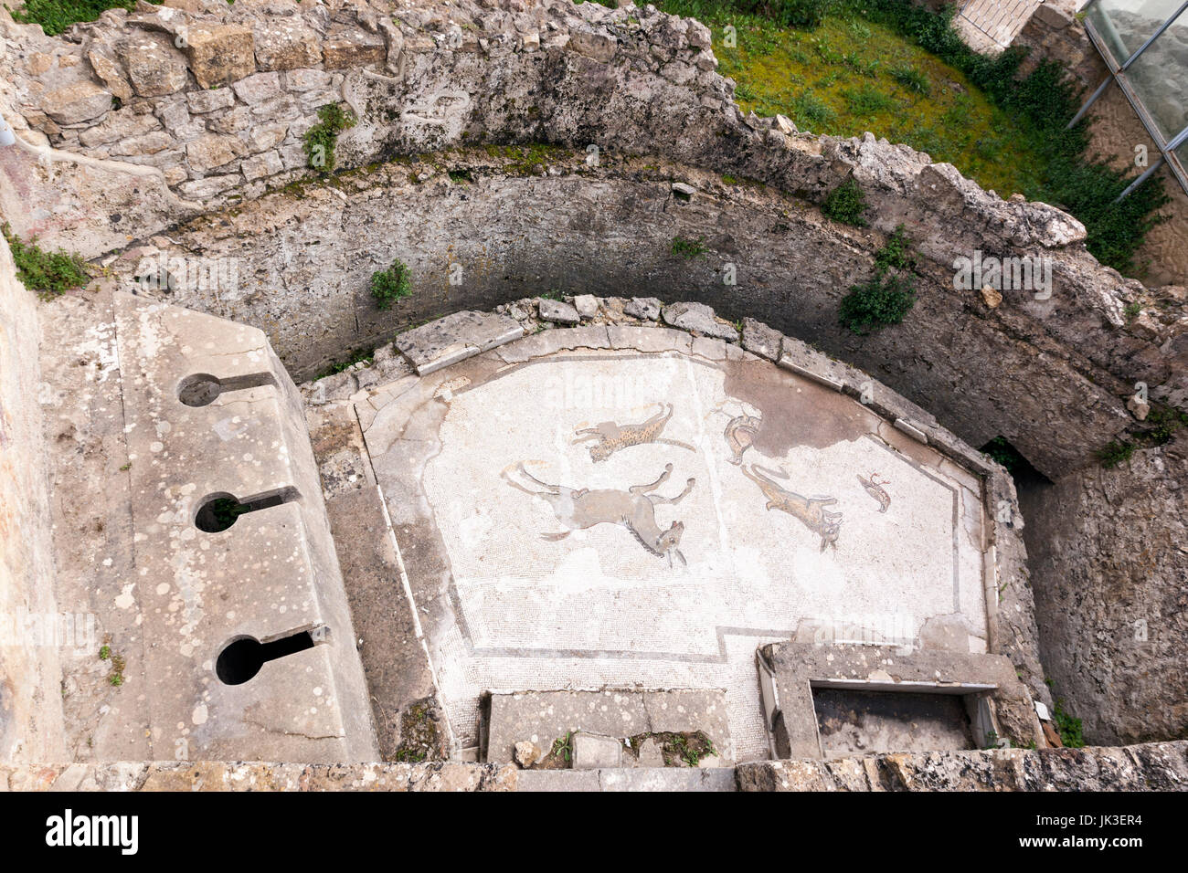 Roman latrines, Roman mosaics in the Roman villa or palace of Villa ...
