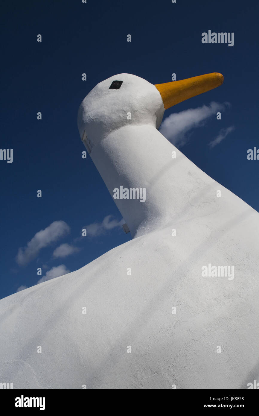 USA, New York, Long Island, Flanders, The Big Duck, area known for its ...