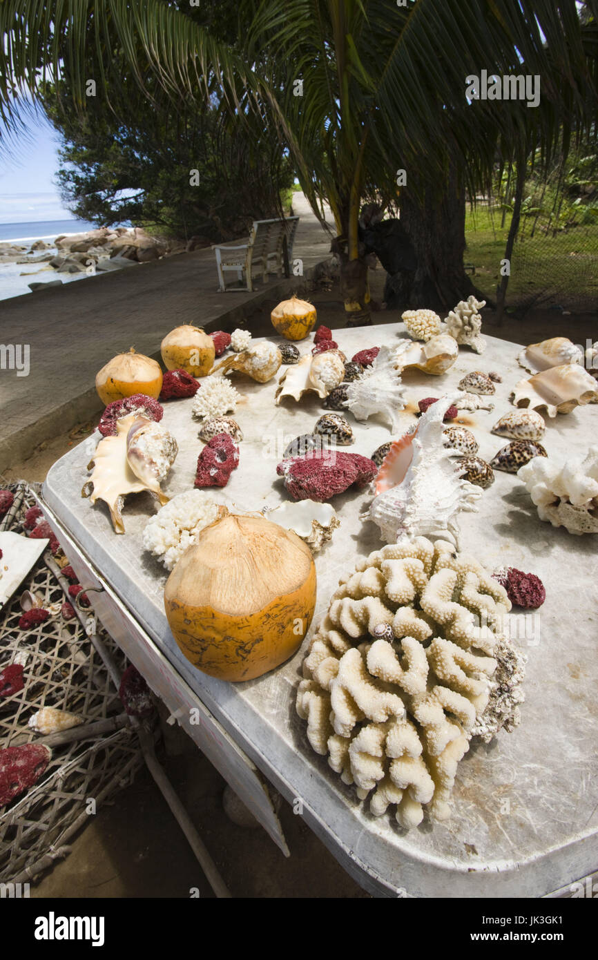 Seychelles, La Digue Island, Anse Gaulettes, seashell display Stock ...