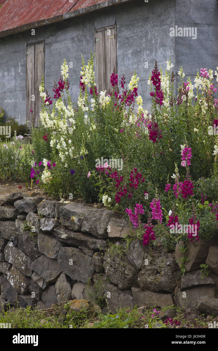 Grand ilet reunion hi-res stock photography and images - Alamy