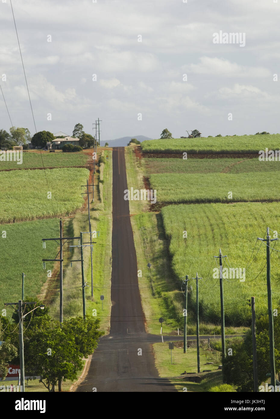 Australia, Queensland, Fraser Coast, Childers, Sugar Cane Field Road ...