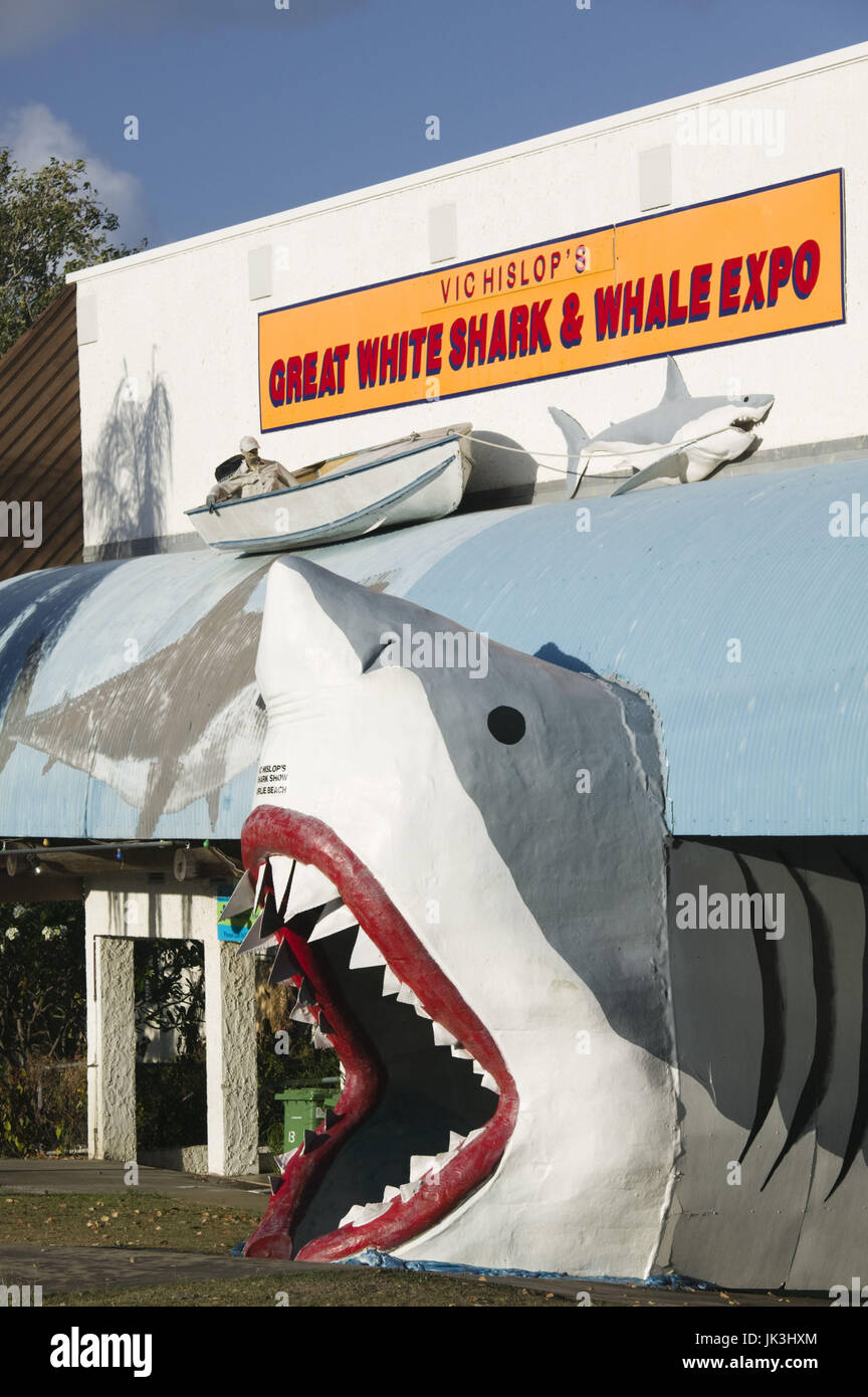 Australia, Queensland, Whitsunday Coast, Airlie Beach, Great White ...