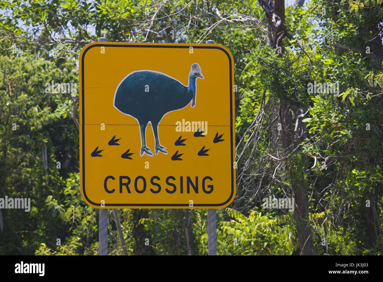 Australia, Queensland, North Coast, Mission Beach, Cassowary Crossing ...