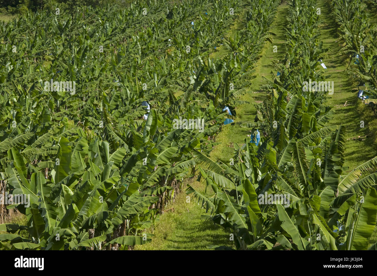 Cowley beach hi-res stock photography and images - Alamy