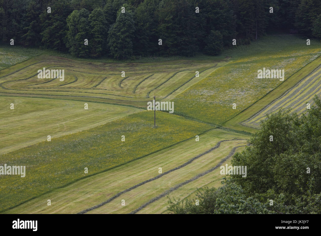Germany, Bavaria, Ettal, Spring Field Stock Photo - Alamy