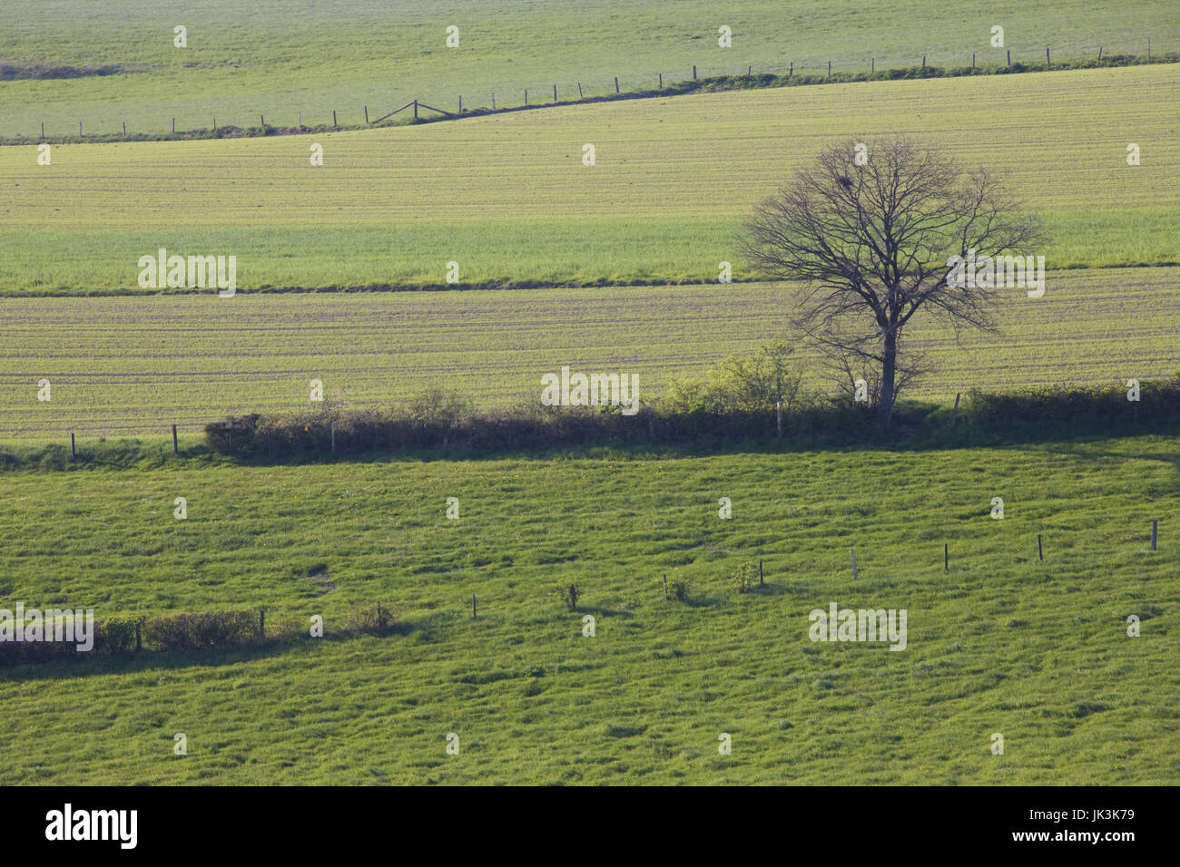 Luxembourg, Sure River Valley, spring landscape by the Hochfels Stock ...