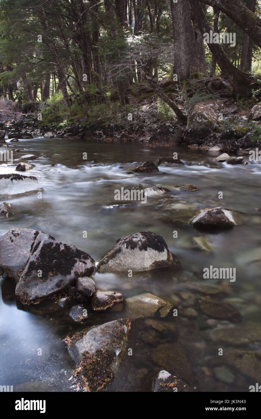Argentina, Neuquen Province, Lake District, Road of the Seven Lakes, small stream by Pichi ...