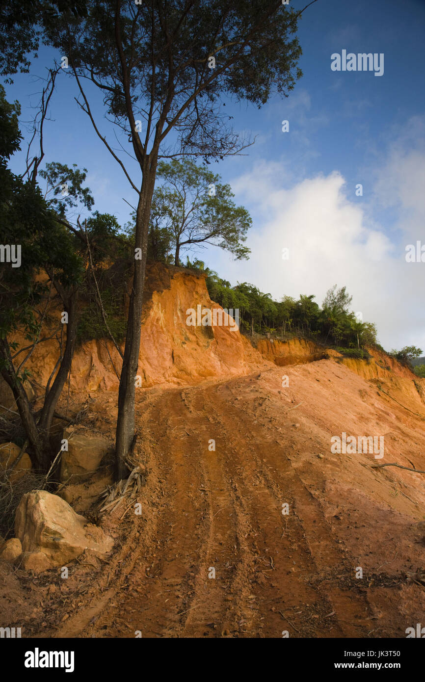 Seychelles, Mahe Island, Morne Seychellois National Park, dirt road ...