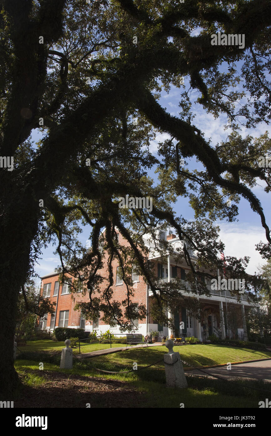 USA, Louisiana, Cajun Country, St. Martinville, Evangeline Oak tree ...