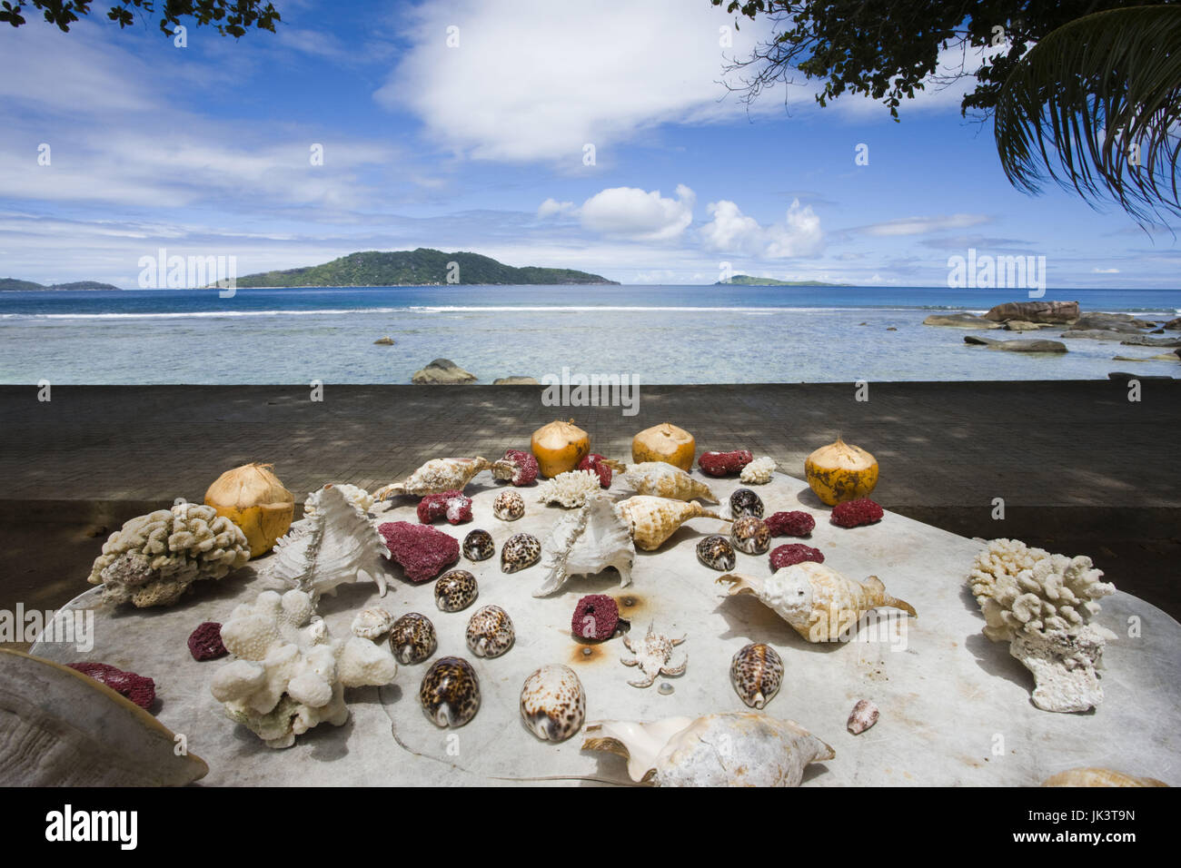 Seychelles, La Digue Island, Anse Gaulettes, seashell display Stock ...