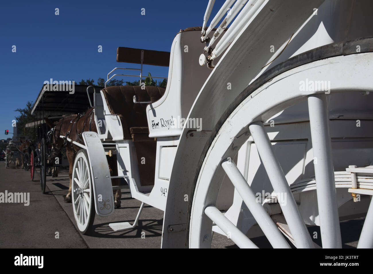 USA, Louisiana, New Orleans, French Quarter, Jackson Square, horse ...