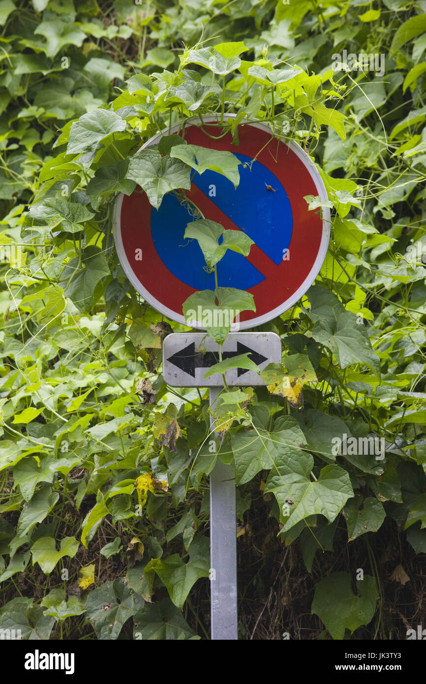 Overgrown road sign hi-res stock photography and images - Alamy