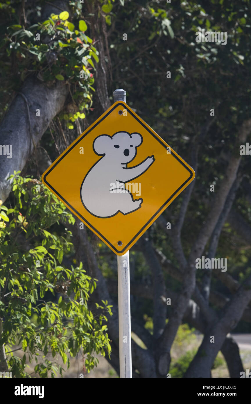 Australia, Queensland, North Coast, Magnetic Island, Koala Crossing ...
