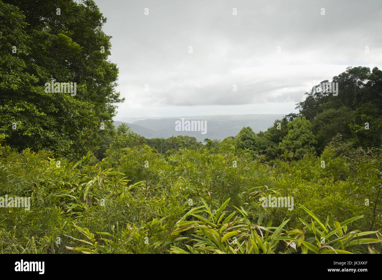 Australia, Queensland, North Coast, Paluma, Paluma Range National Park ...