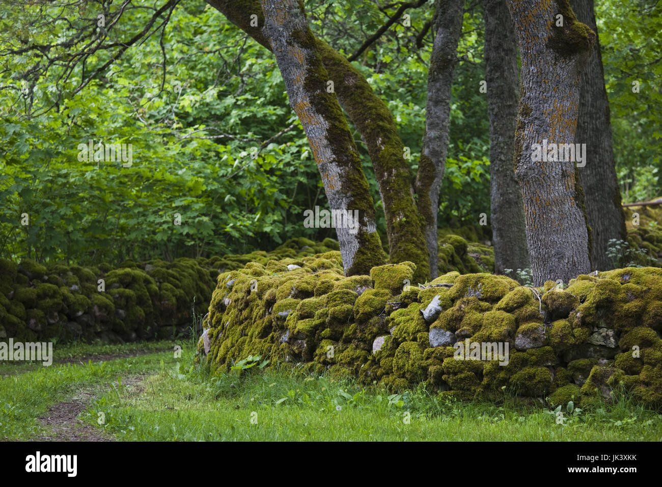 Estonia, Western Estonia Islands, Muhu Island, Koguva, Muhu Open Air ...