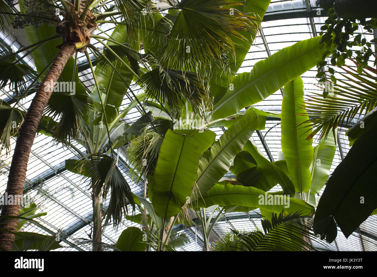 Palmengarten garden germany hi-res stock photography and images - Alamy