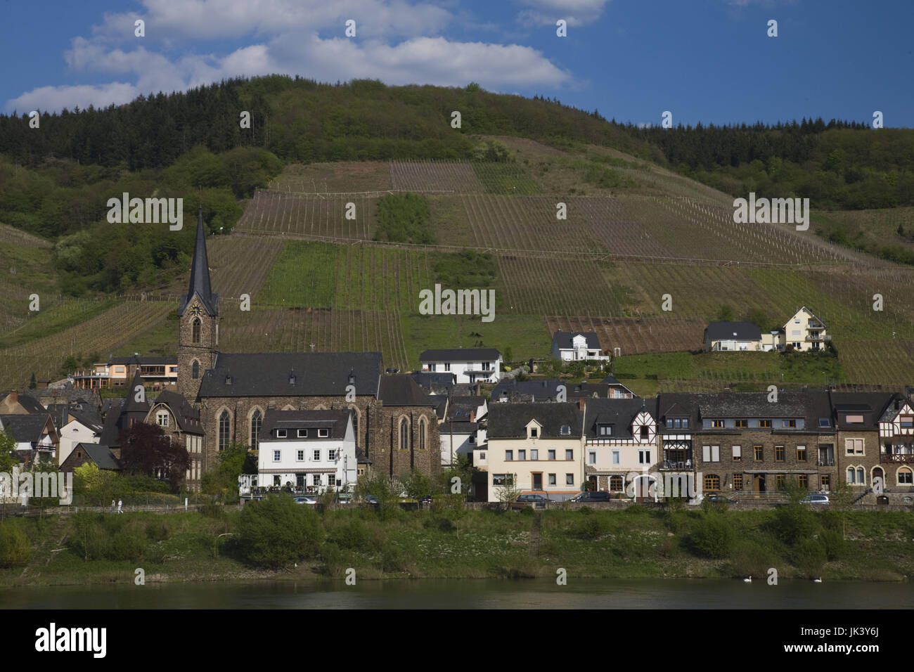 Germany, Rheinland-Pfalz, Mosel River Valley, Neef, town view Stock ...