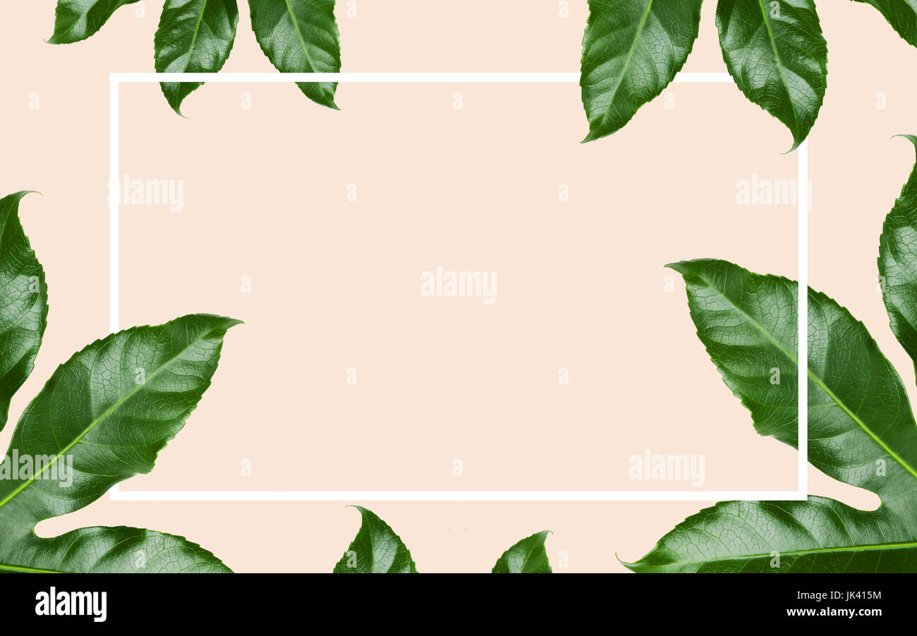 green leaves with rectangular frame over beige Stock Photo - Alamy