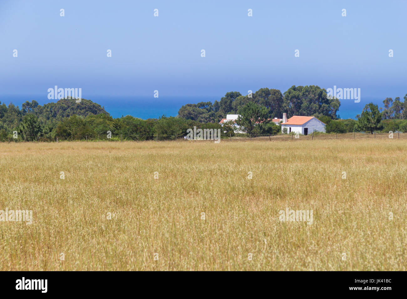 Farm house, plantation and ocean in Porto Covo, Alentejo, Portugal ...