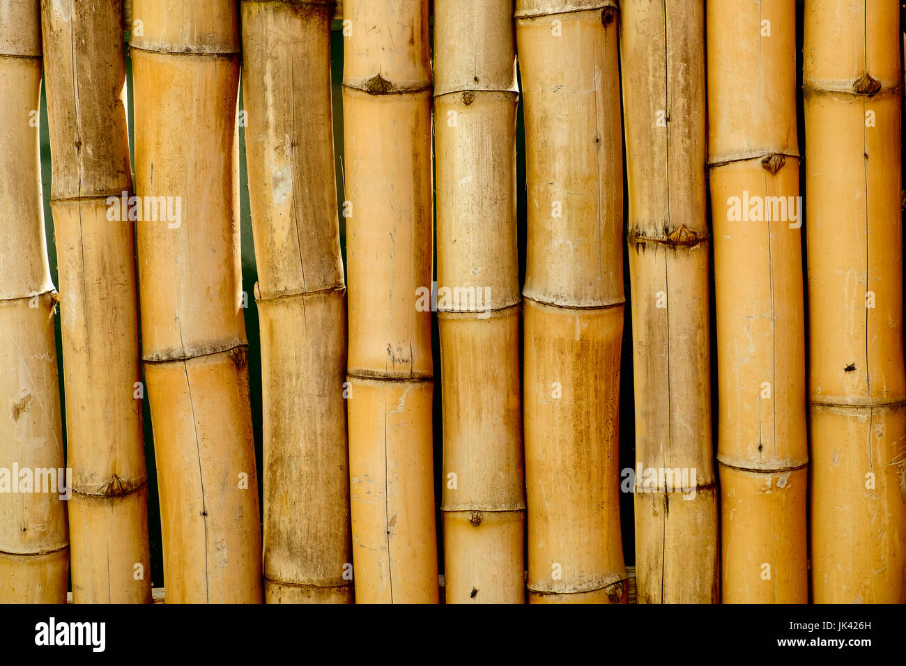Close up of bamboo stalks Stock Photo - Alamy