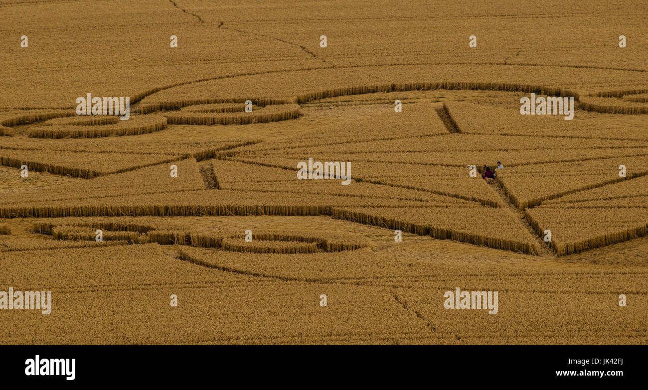 Cropland in England Stock Photo - Alamy