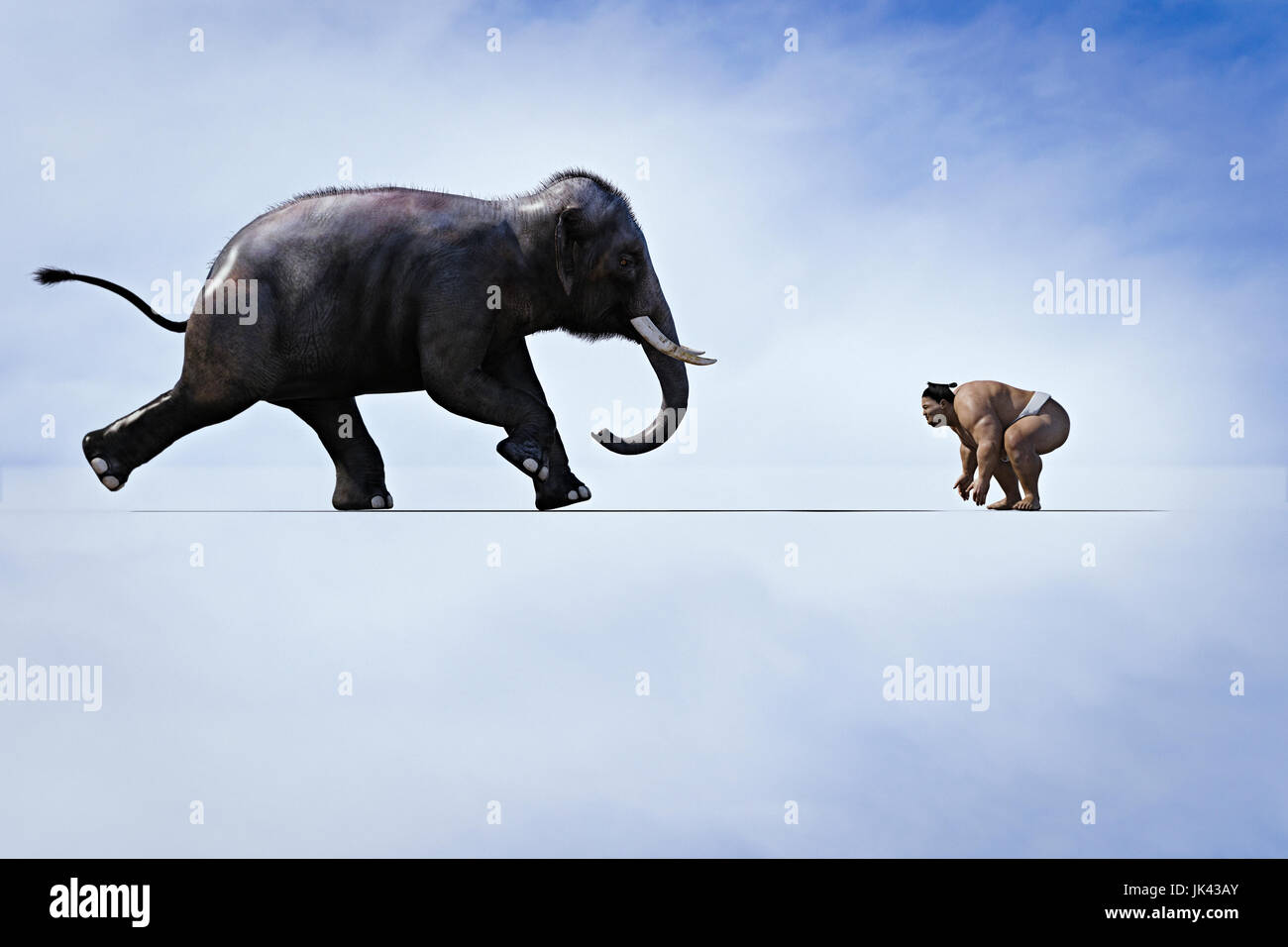 Elephant charging Sumo wrestler Stock Photo - Alamy