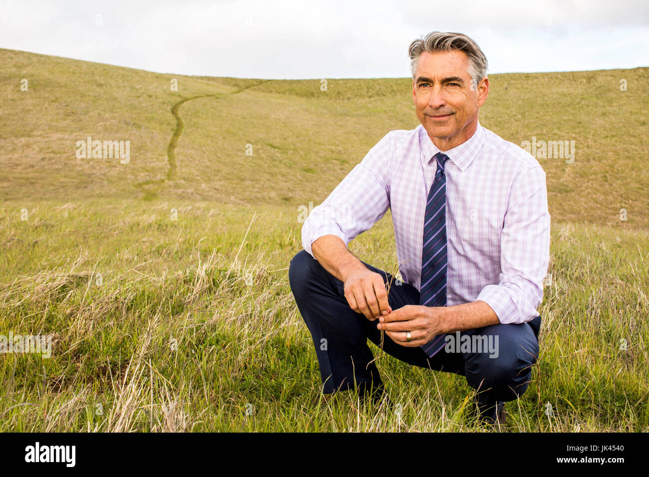 Smiling Caucasian businessman crouching in grass Stock Photo - Alamy