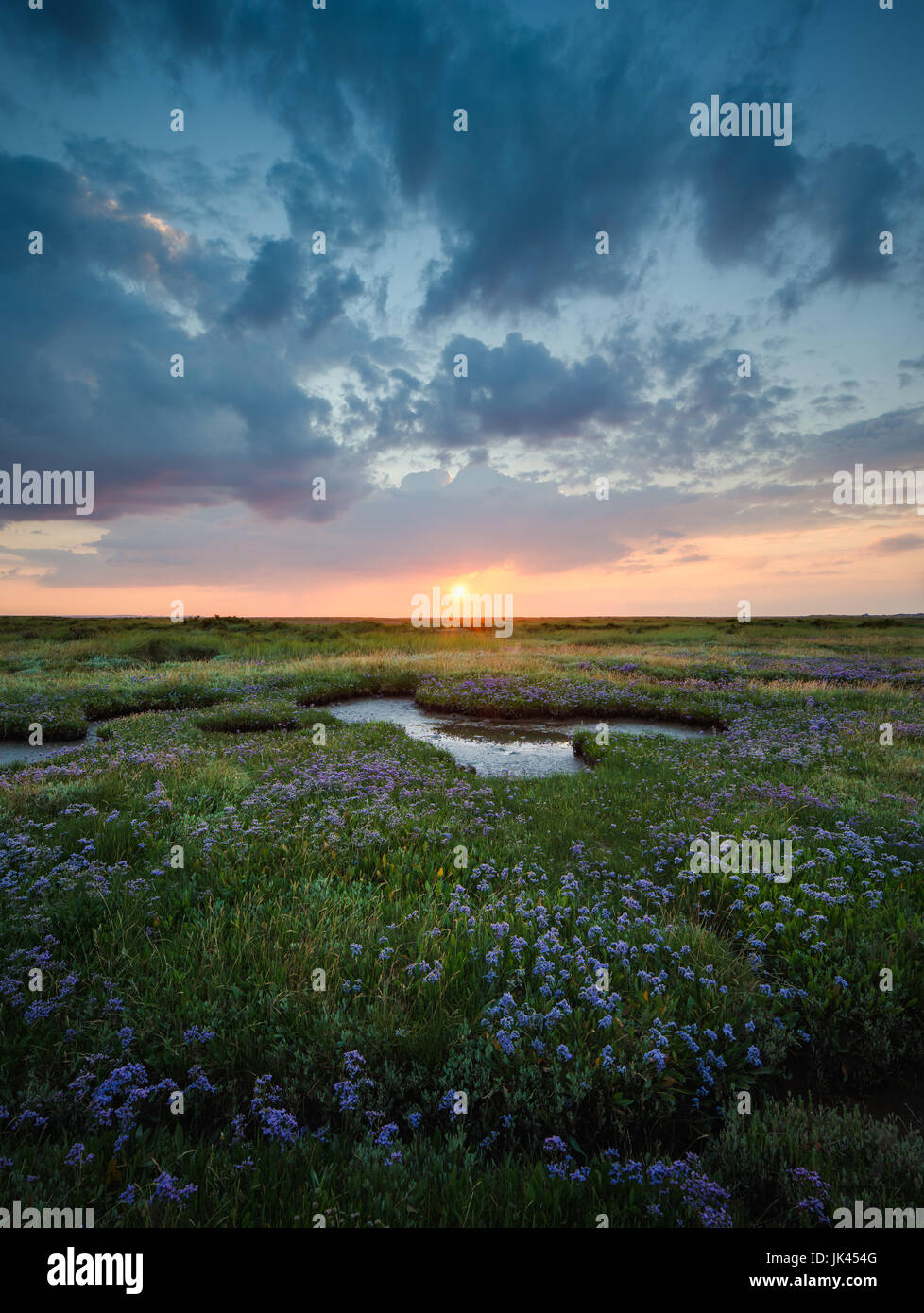 Norfolk salt marsh at low tide, North Norfolk, October Stock Photo - Alamy