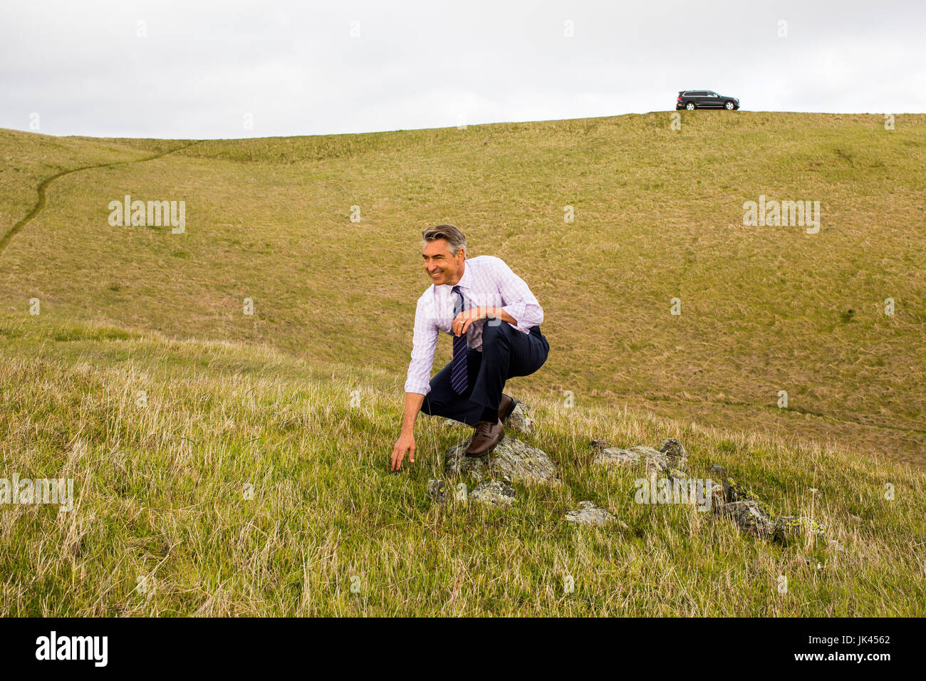 Smiling Caucasian businessman crouching in grass Stock Photo - Alamy